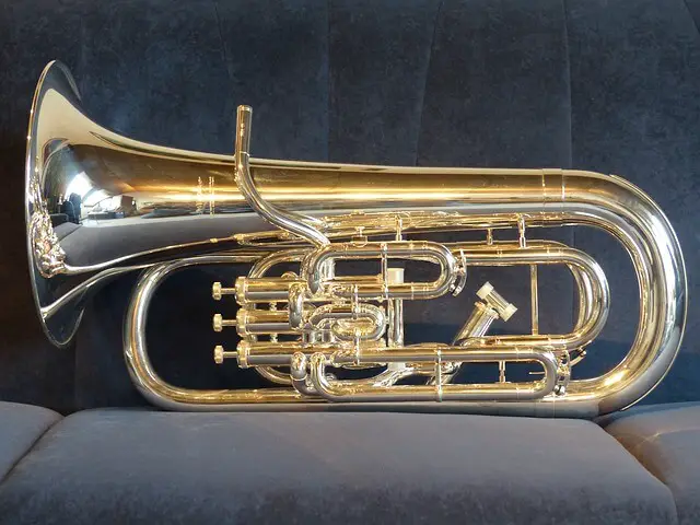 Instruments Similar to The Trombone (With Pictures)