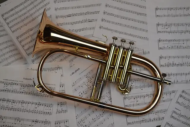 what instrument is similar to the trumpet - OrchestraMag.com6
