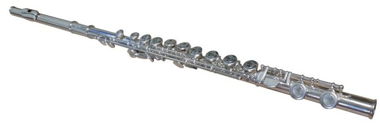 Instruments Similar to The Trombone (With Pictures)