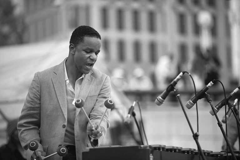 Famous Vibraphone Players You Should Know