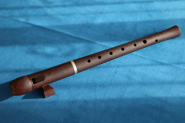Which Woodwind Instruments Are Easier To Learn?