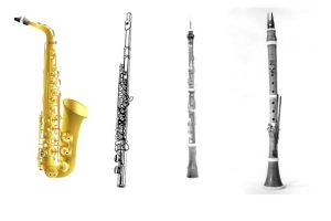 Woodwind Instruments: An Introduction to the Family